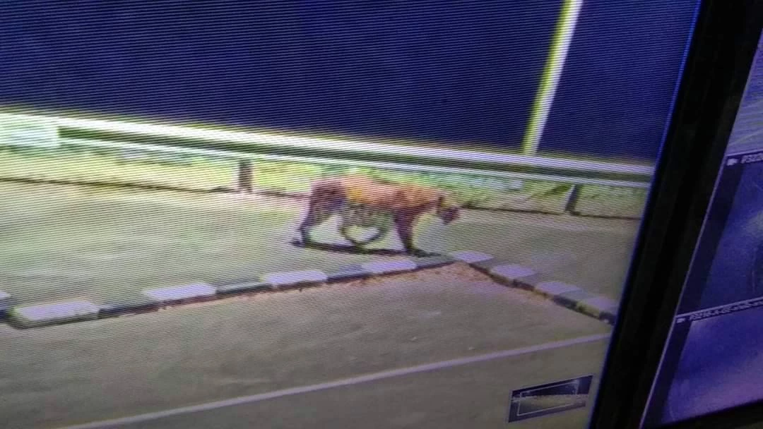 Erawan National Park: A Guide to Thailand's Natural Wonder