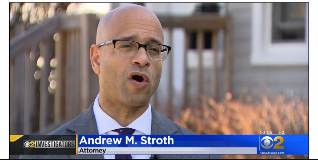 Blog | websiteTree of Life