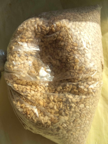 Sesame seed/Jijiri-Roroli free shipping | Tifi Paste-a Depot