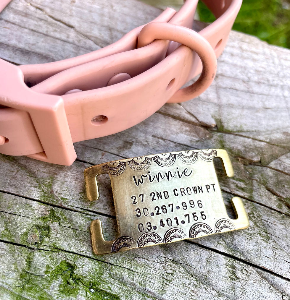 Custom Pet ID Tags