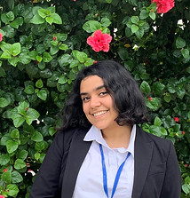 Meet the team | Cbltrgnul