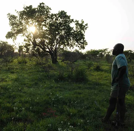 Dusk walk with Sicelo Mbatha | Kincentric Leadershi