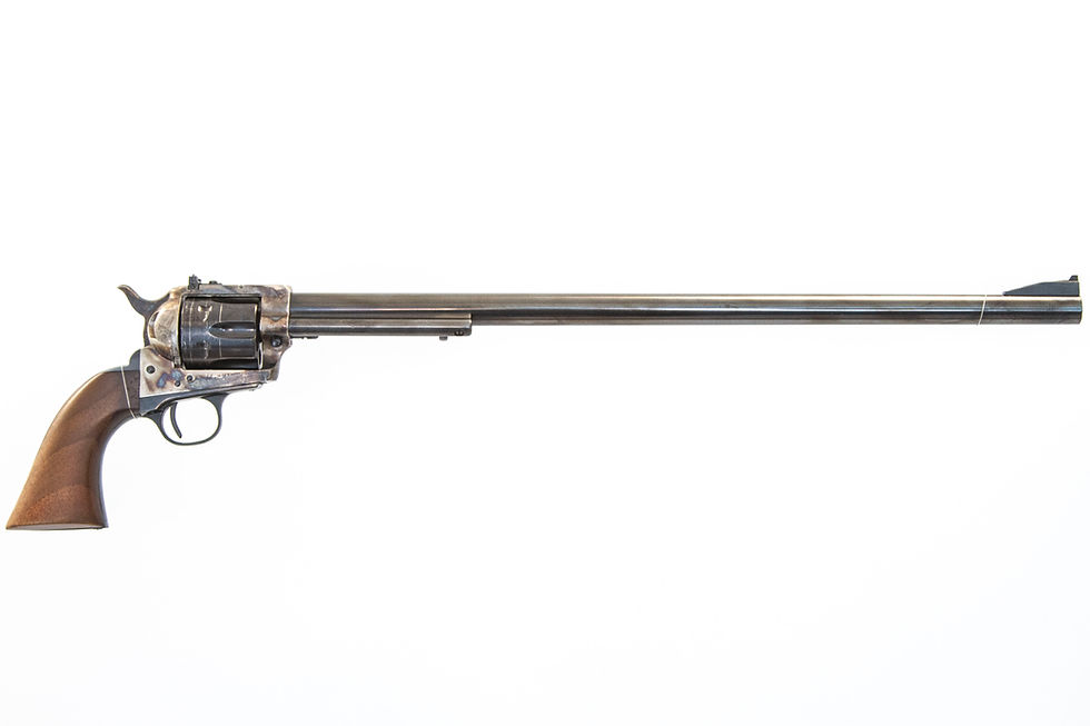 RIFLES | cgfirearms 2/4