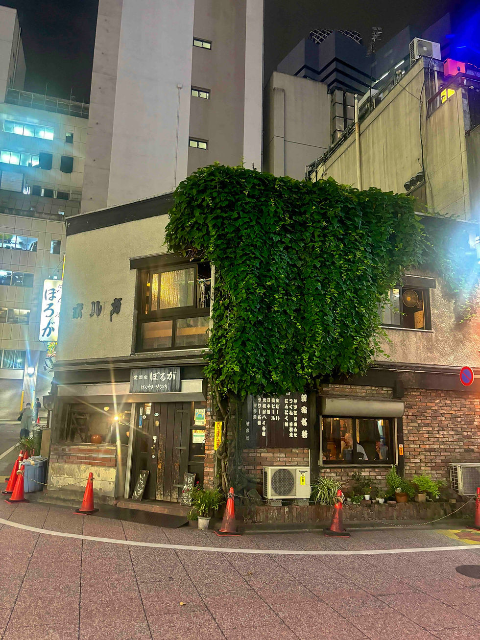 Scenic Tokyo Day Trip: From Jogasaki Coast to Shinjuku Delights