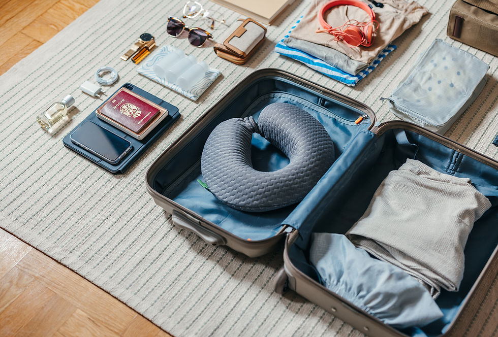 Travel Essentials for Japan: Tips, Guides & Must-Haves | Tanuki Stories