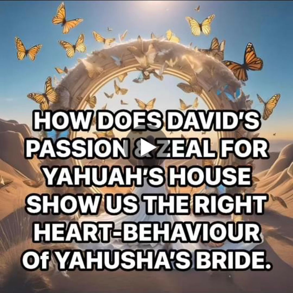 ABSTRACT BEHAVIOURAL CODEX