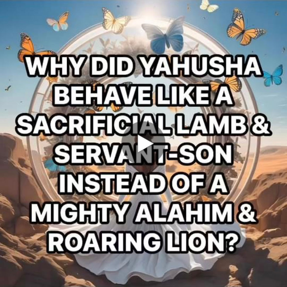 ABSTRACT BEHAVIOURAL CODEX