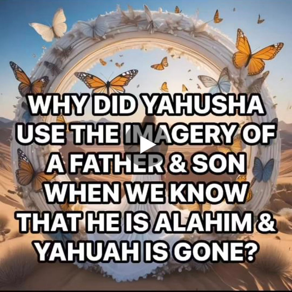 ABSTRACT BEHAVIOURAL CODEX