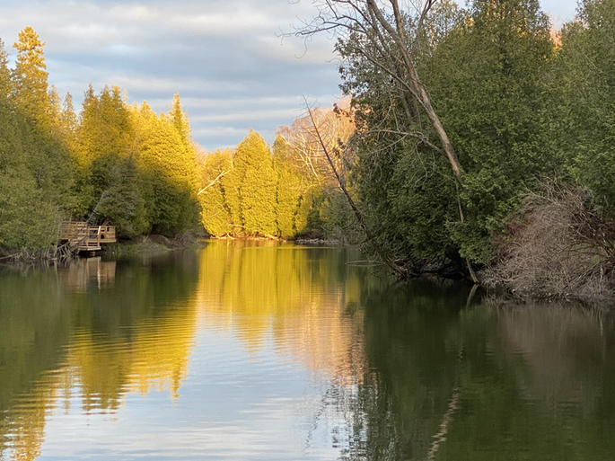 Sauble Falls Bed and Breakfast | gourmet chef onsite