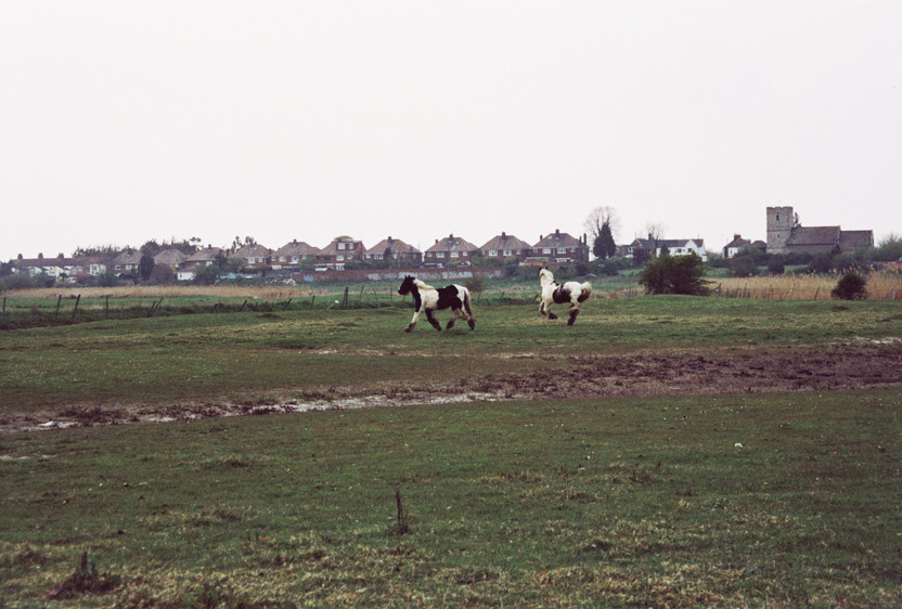 Jasper Cable-Alexander Photography