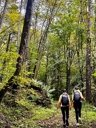 Gallery | HUMAN ELEVATION