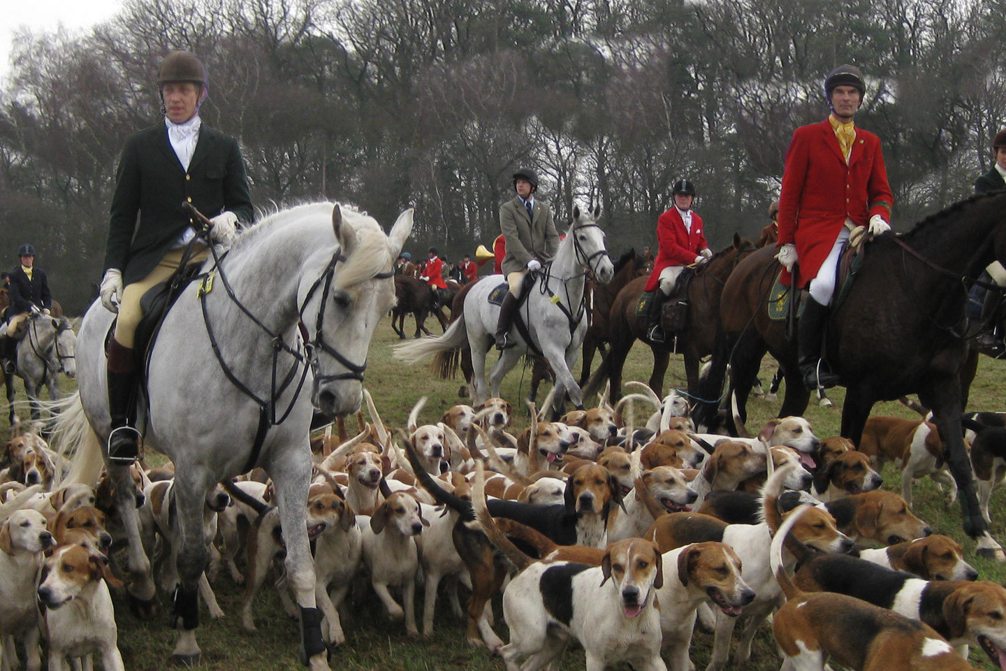 Meuten | Schleppjagd24