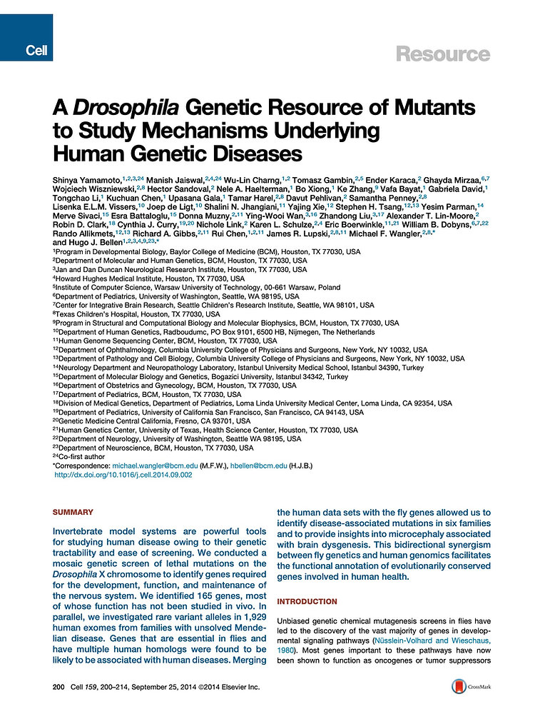 A Drosophila genetic resource of mutants to study human genetic diseases