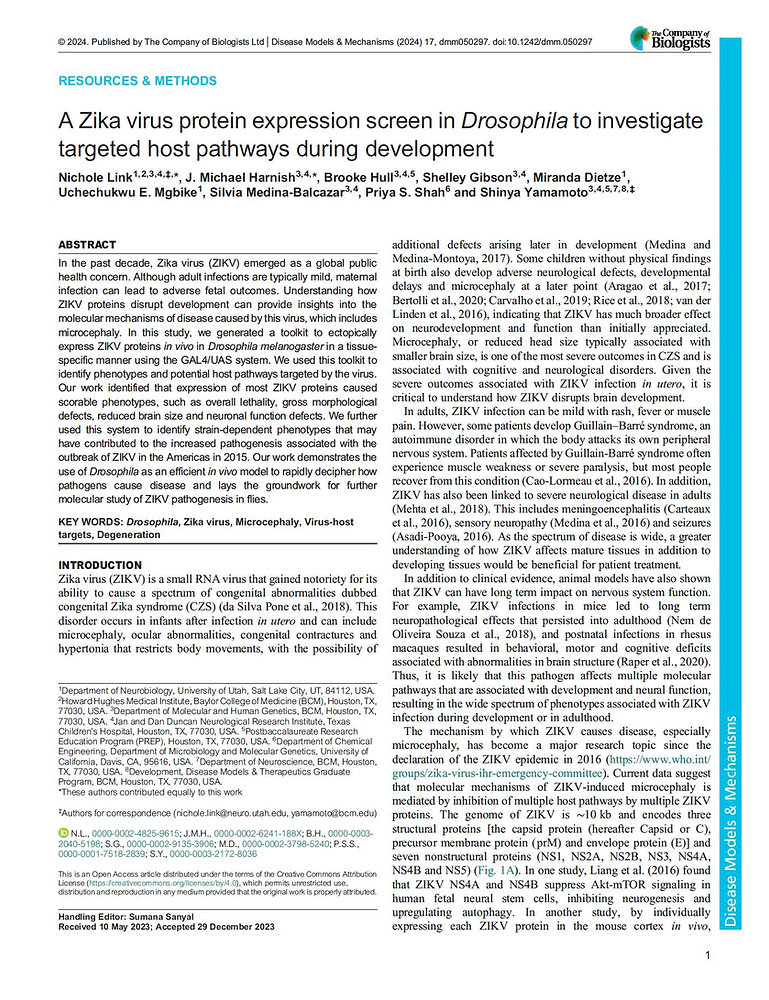 A comprehensive genetic tool kit to study Zika Virus using Drosophila ...