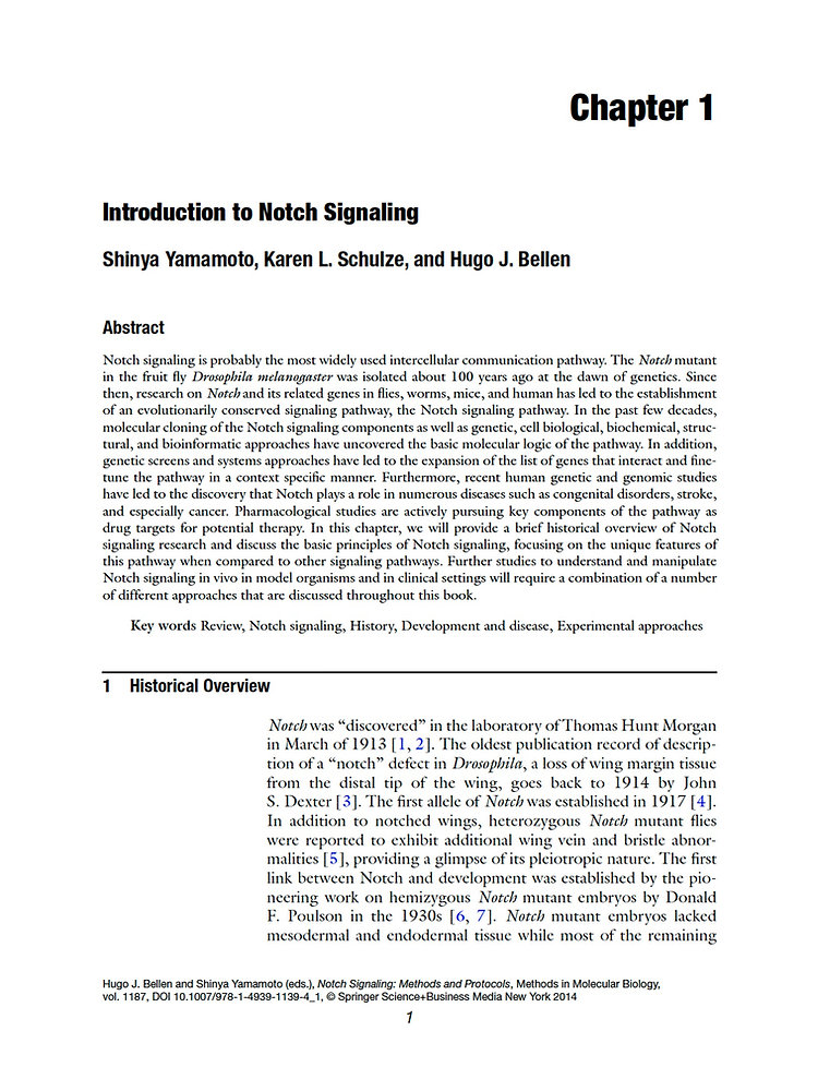 Book Chapter: An introduction to Notch signaling