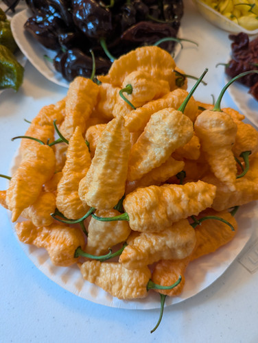 Alex's Fried Chicken | Matt's Peppers