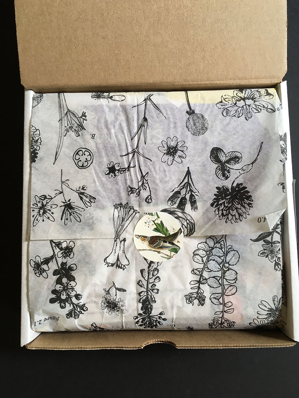 NATURE BOXES | Outsidein