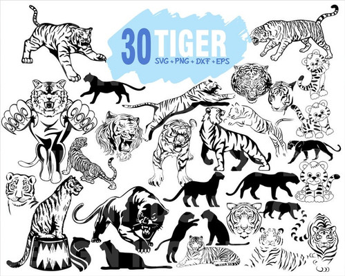 Tiger Svg Cat clipart Wild Asia Asian Animal Cricut Silhouette eps dxf ...