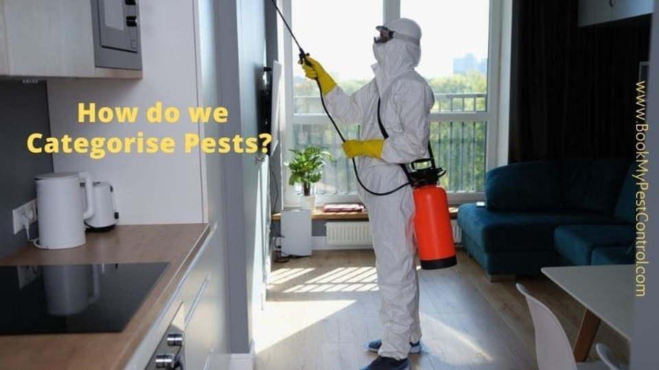 How do we Categorize Pests?
