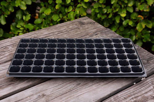 Seedling Tray | Pots Import