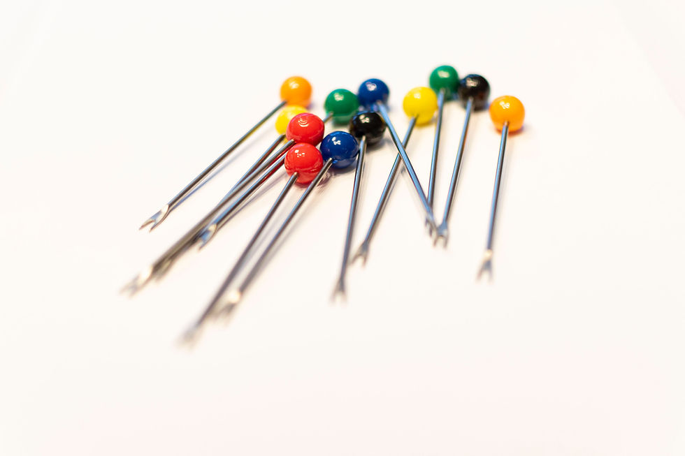 Peconic Escargot - Shop for Fresh Escargot