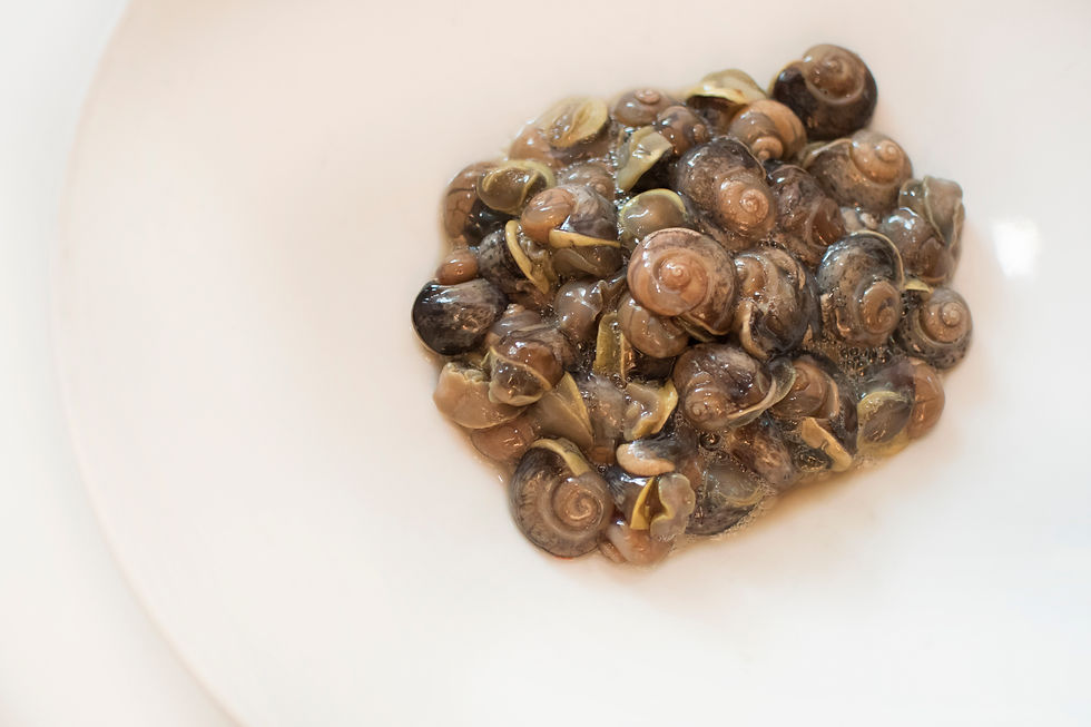 Peconic Escargot - Shop for Fresh Escargot