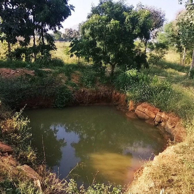 Permaculture rainwater harvesting pond