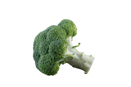 frozen broccoli | TMG Trading EOOD