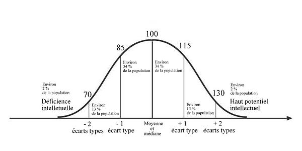 Bilan psychologique (test QI) | Claire Grand psy