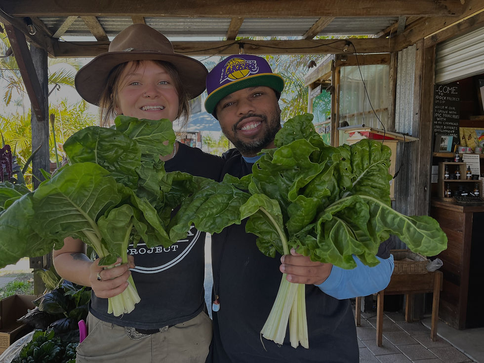 DISABILITY EMPLOYER | The Paddock Project