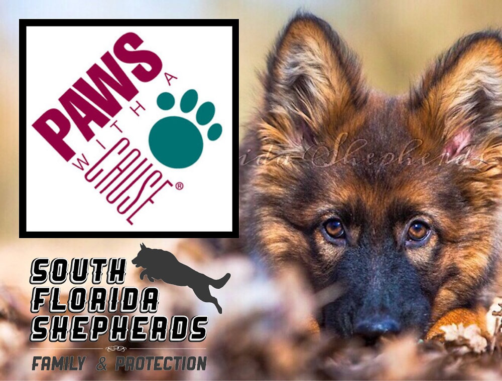 Paws With A Cause Fundraiser