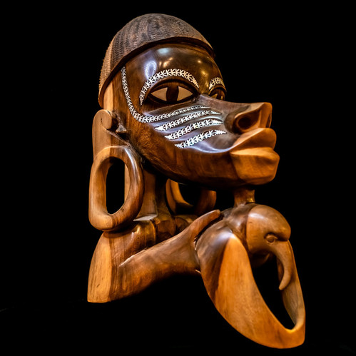 LARGE NGUZU NGUZU – SOLOMON ISLANDS | Havaikiart