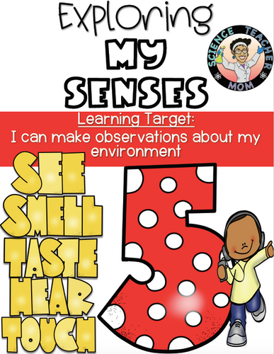 The 5 Senses Activity Pack Bundle! | Science Teacher Mom