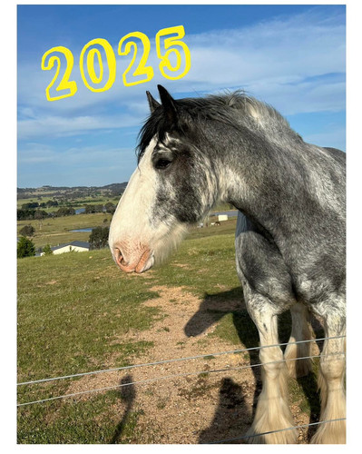 2025 HHH Calendar | Heavy Horse Heaven
