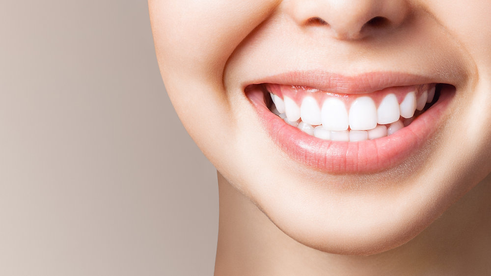The Different Tooth Types & Their Functions – Learn With Family ...