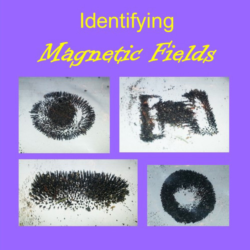 Identifying Magnetic Fields Lesson Plan | Technitopics