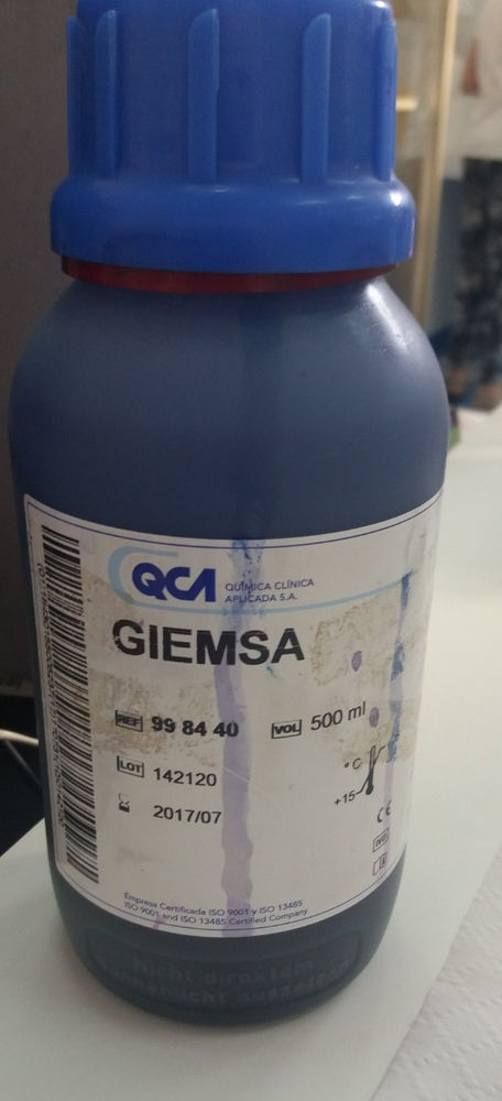 PRACTICA Nº2: TINCIÓN DE GIEMSA