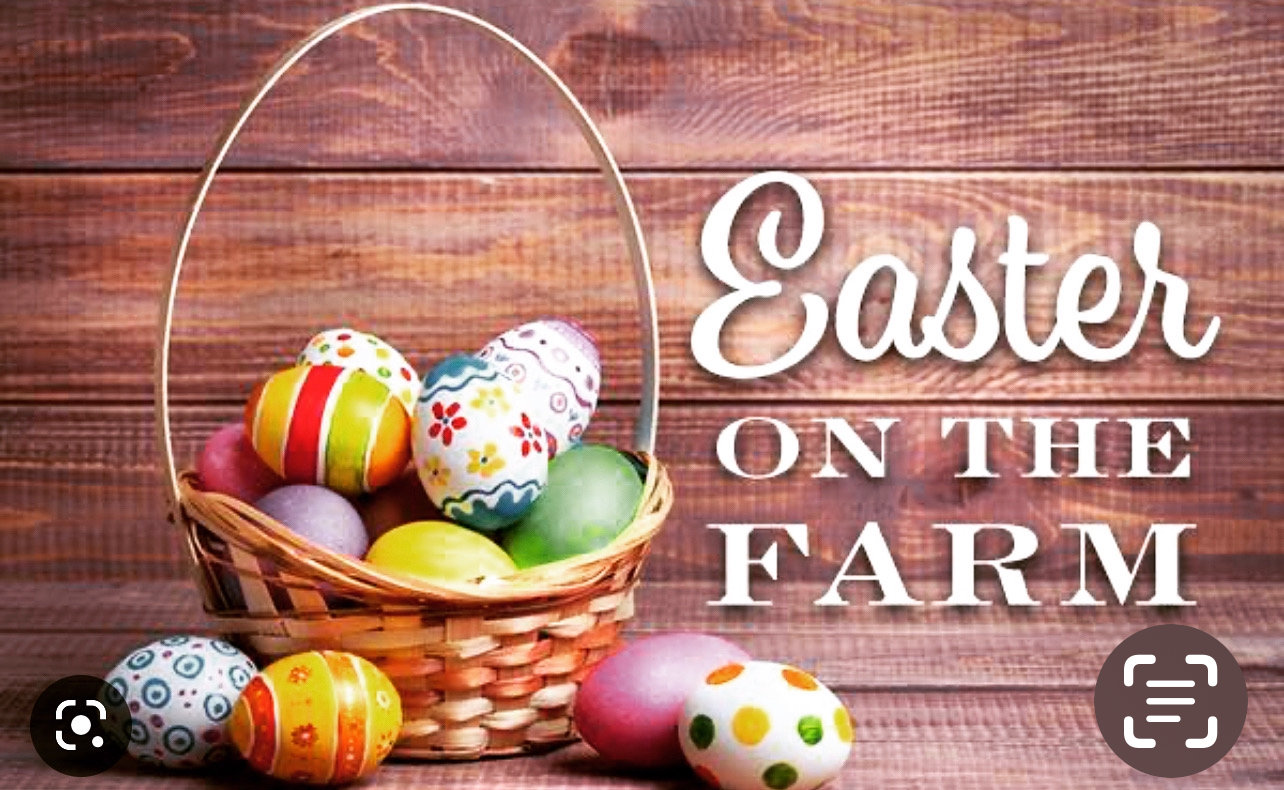 Easter on the Farm | Farm @ LFH