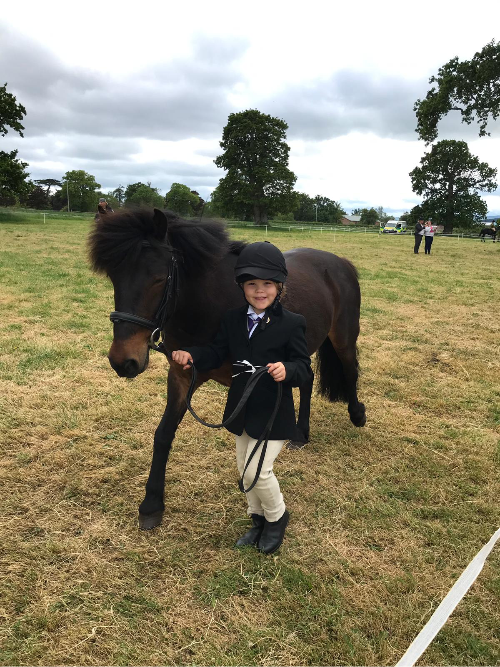 Novice Pony/Horse and Fun Dog Show at Nutwell Court | Exe Equestrian Club