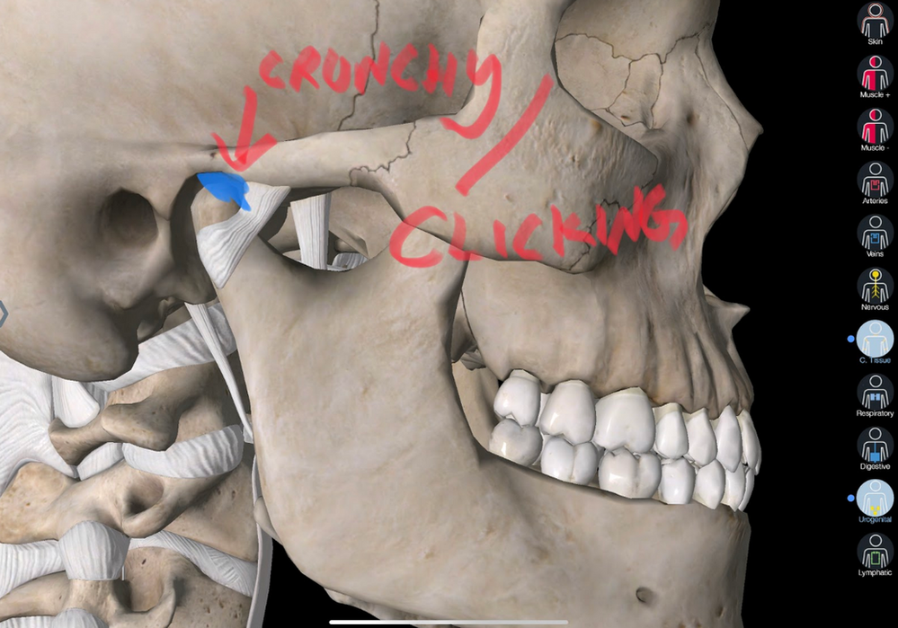 Why does the jaw make a popping sound?