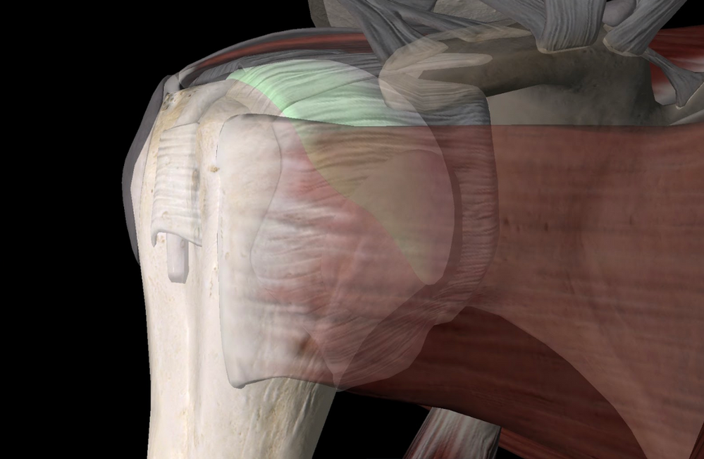 Unfreeze Your Frozen Shoulder With These Three Physical Therapy Exercises