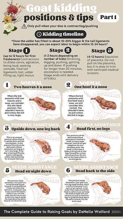 Kidding Process | Dairy Goat Farming N