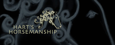 Shaping plans | Hart's Horsemanship