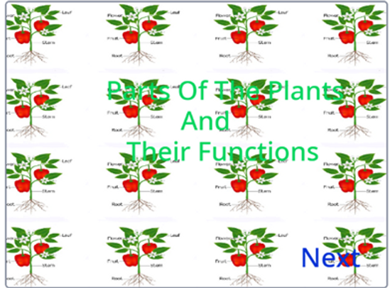 Project 4: Science “Parts of the Plant”