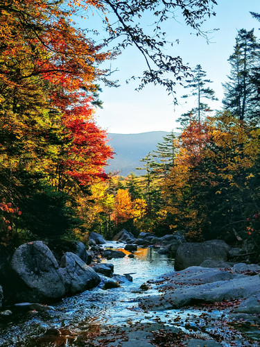 Fall Foliage over Cascade Brook Trail | NHHikesandWanderlust