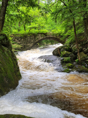 Gleason Falls Bridge | NHHikesandWanderlust