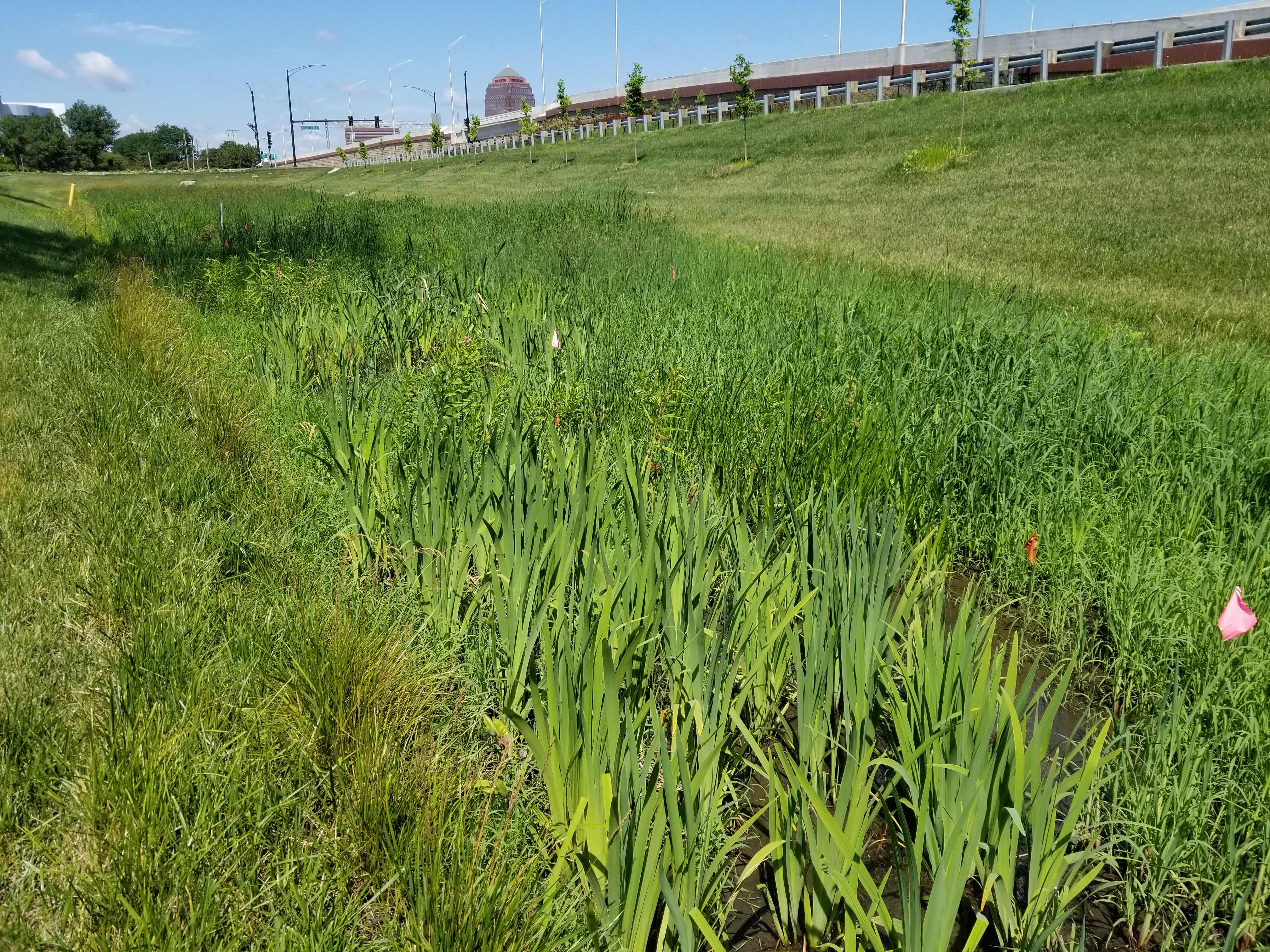 Landscaping | Chicago | Cardinal State, LLC