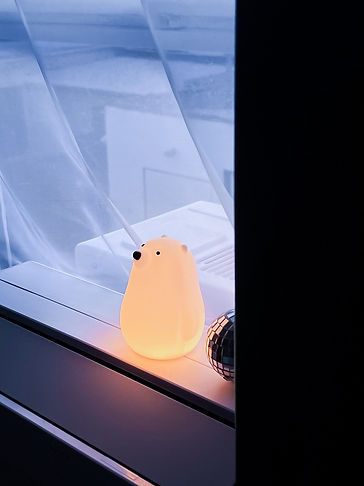 POLO BEAR | mepiie Squish Lamps