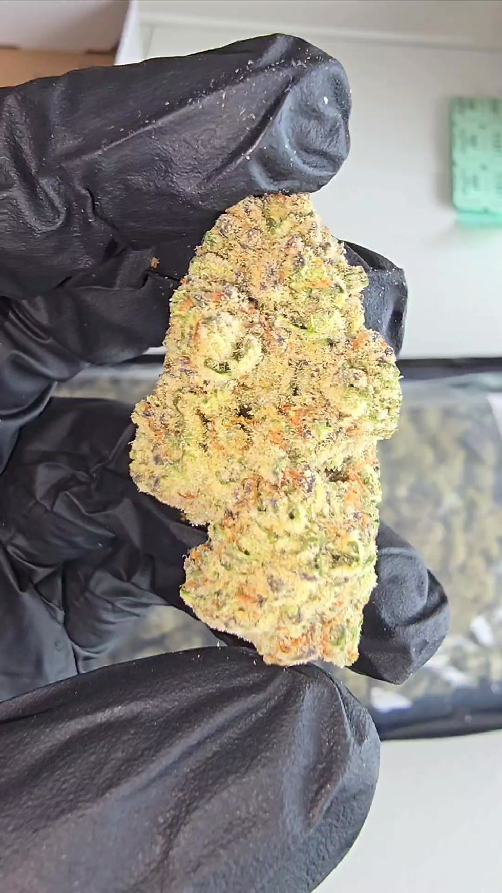 All Products | Diesel Dispensary All Products | Diesel Dispensary