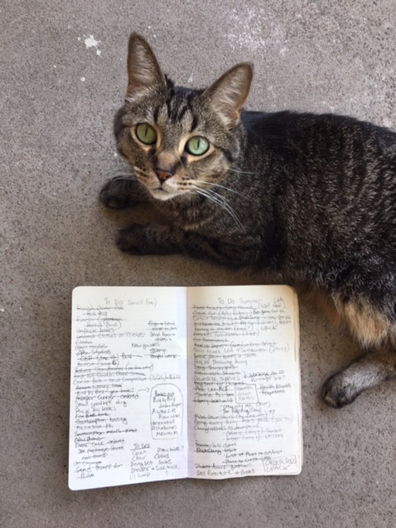 The Personal Statement